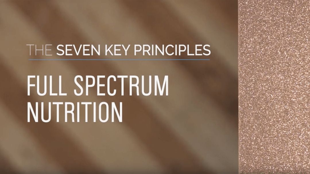 7 Key Principles: Full Spectrum Nutrition - Cancer Tutor